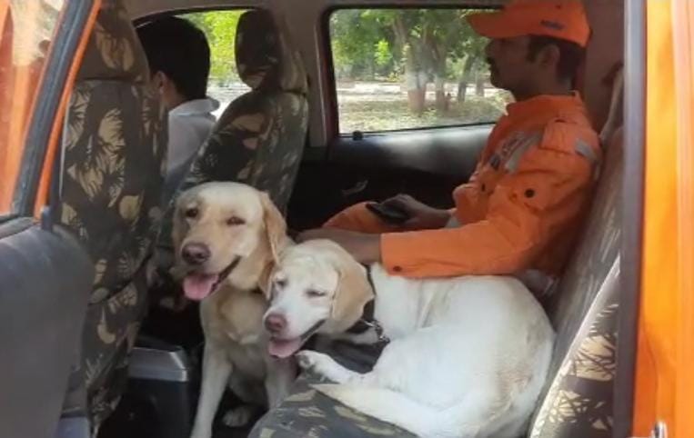 Press Release:Press Information Bureau