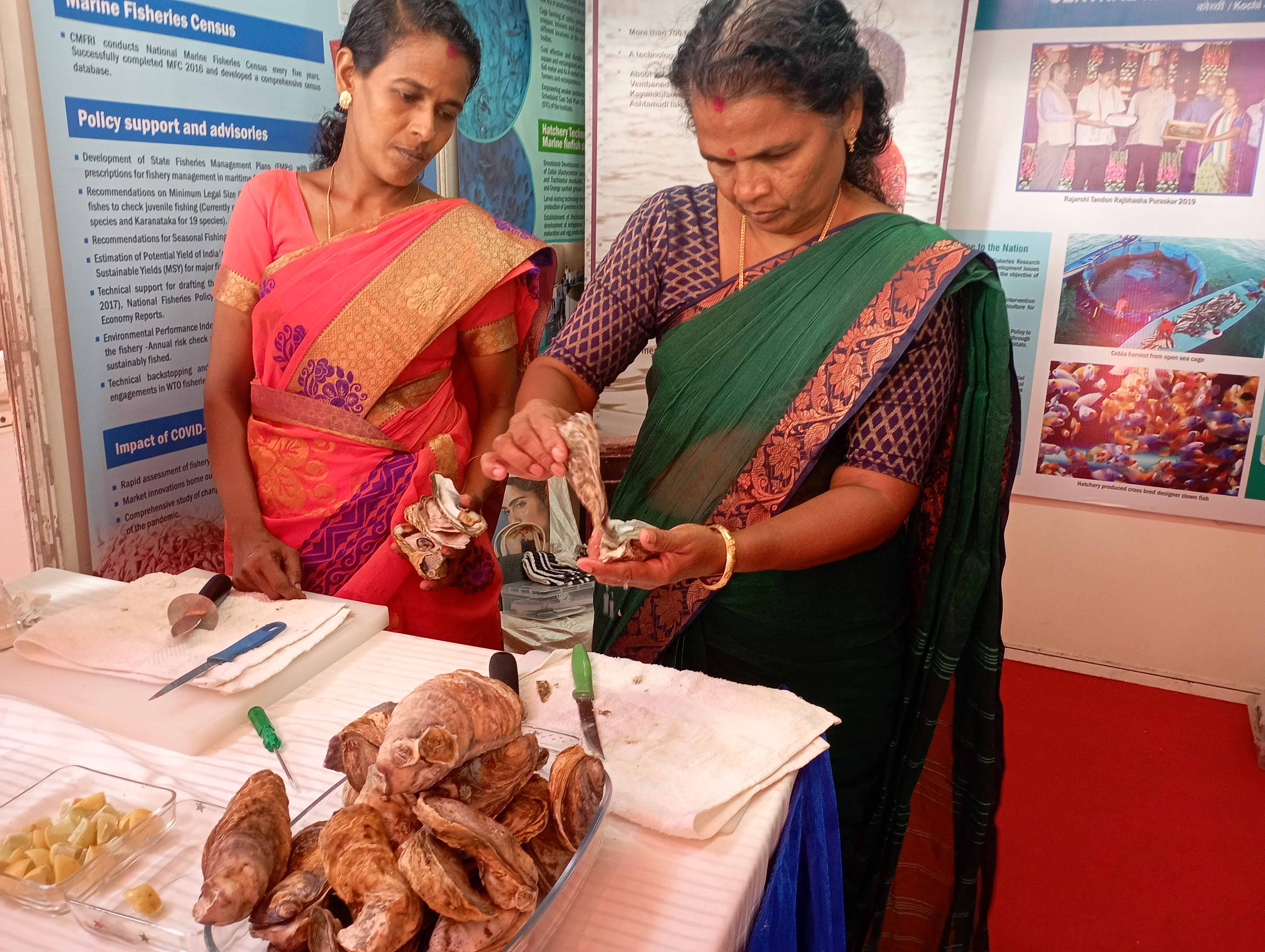 Press Release:Press Information Bureau